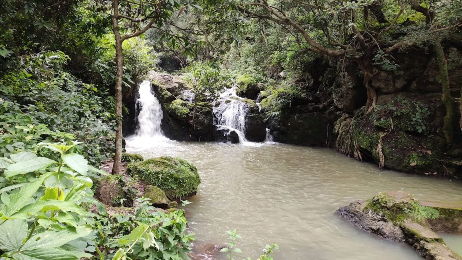 Places to Visit in Netarhat (2025)