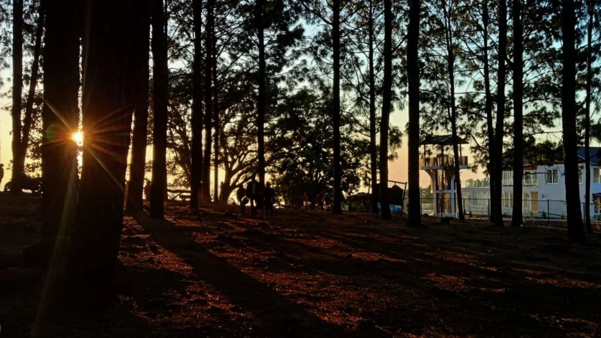 Places to Visit in Netarhat (2025)